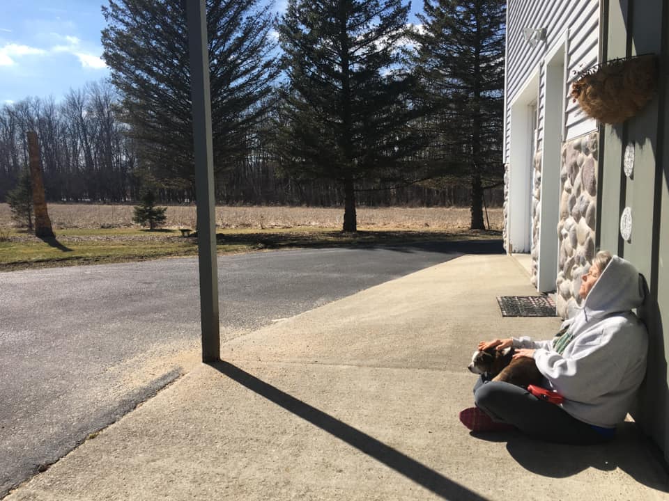 Looking Out My Back Window #221 | David Geschke